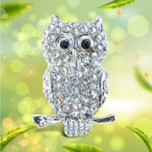 CoTa Global Owl Sparkling Refrigerator Magnet - Silver Sparkling Rhinestones Crystals, Cute Wild Life Animal Bird Magnet For Kitchen Fridge and Locker, Home Decor and Cool Office Decor Novelty - 1.75"