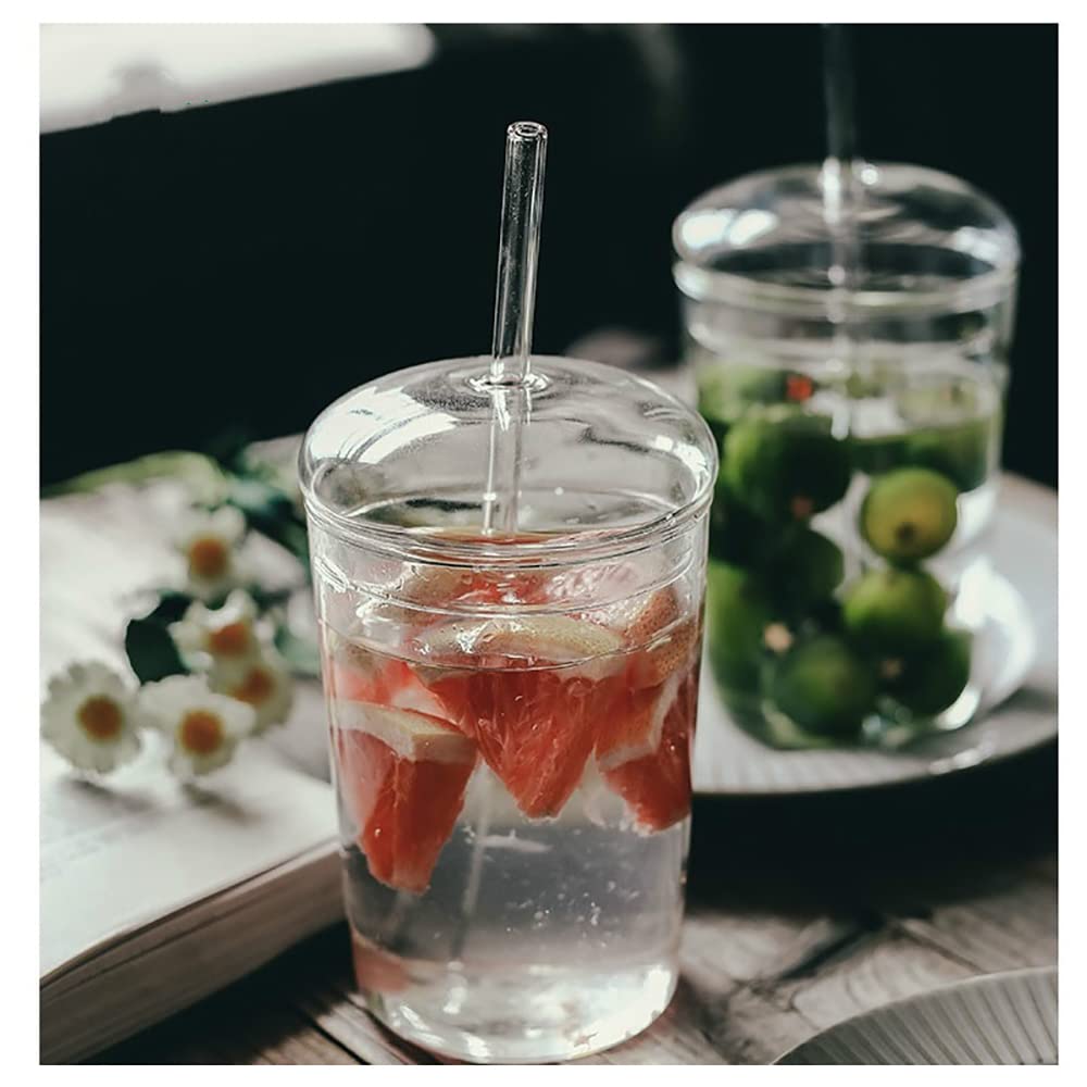 Milk Juice Water Cups, 450ml Transparent Glass Cups for Coffee Tea Drinks with Straw and Lid Glass Cover Glass Straw Drinking Cup Simple Design Coffee Juice Drinking Water Mug (1Pcs)