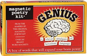 genius-magnetic poetry kit