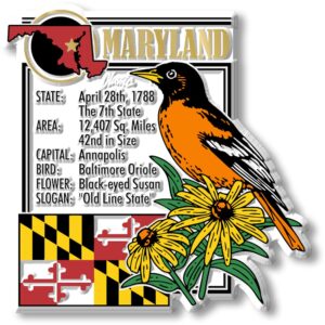 maryland state montage magnet by classic magnets, 3" x 3.3", collectible souvenirs made in the usa