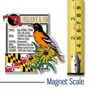 Maryland State Montage Magnet by Classic Magnets, 3" x 3.3", Collectible Souvenirs Made in The USA