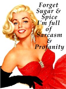 forget sugar & spice i'm full of sarcasm & profanity 2" x 3" fridge magnet refrigerator vintage image gift retro funny humor c