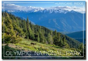 hurricane ridge olympic national park, washington travel refrigerator magnet size 2.5" x 3.5"