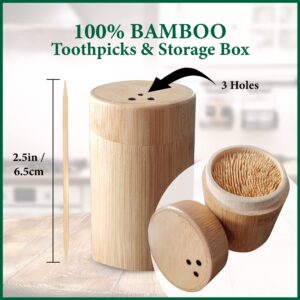 BOONBOO Bamboo Toothpicks and Holder, Double-Sided, 450 Counts