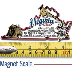 Virginia Information State Magnet by Classic Magnets, 4.4" x 2.3", Collectible Souvenirs Made in The USA