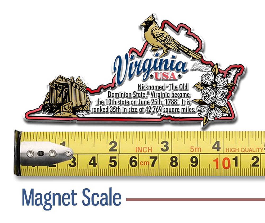 Virginia Information State Magnet by Classic Magnets, 4.4" x 2.3", Collectible Souvenirs Made in The USA