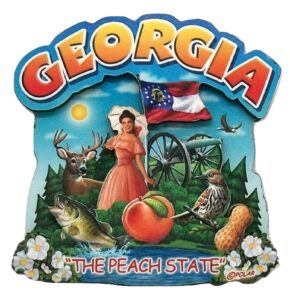 georgia state montage wood fridge magnet 2