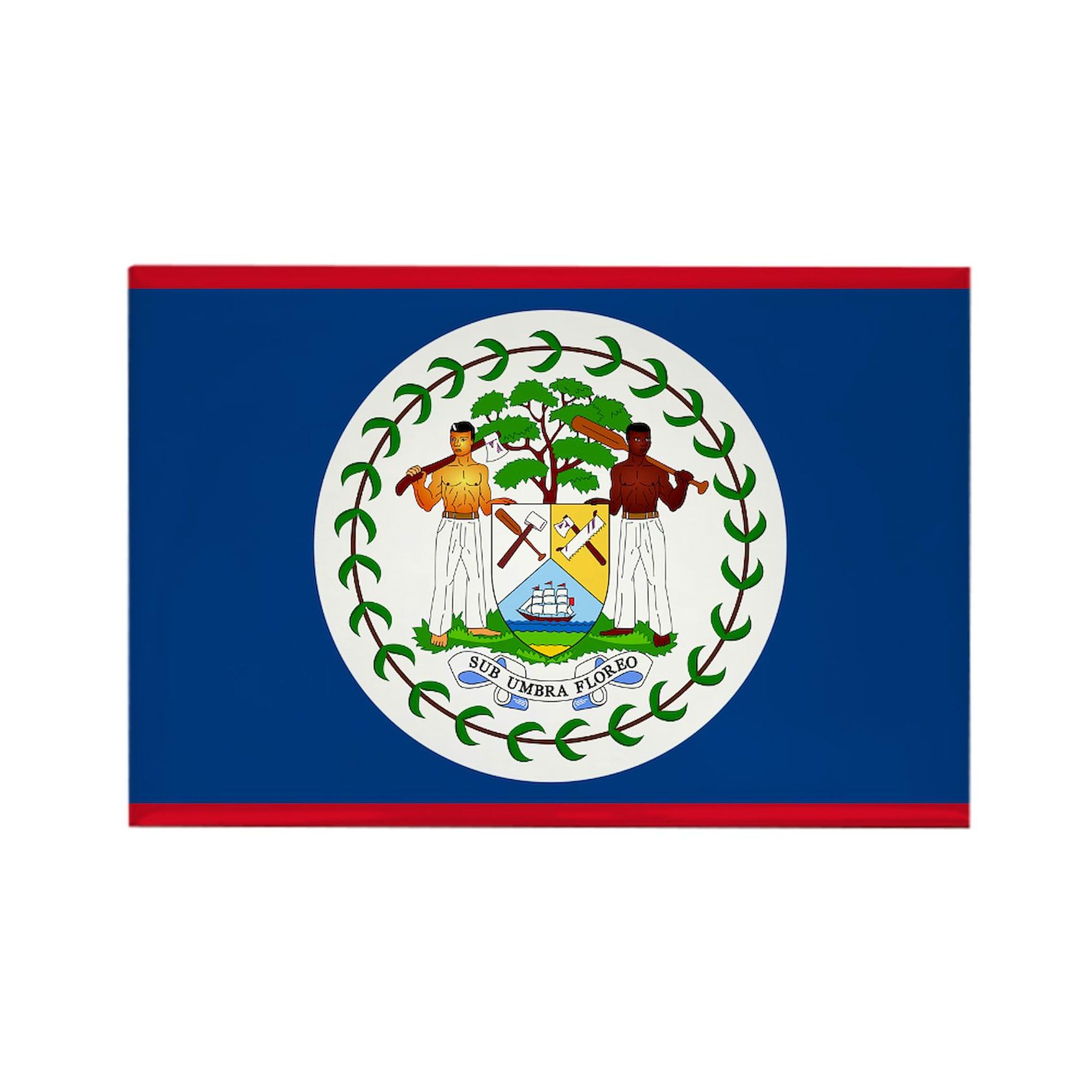 CafePress Belize Country Flag Rectangle Magnet, 3"x2" Refrigerator Magnet