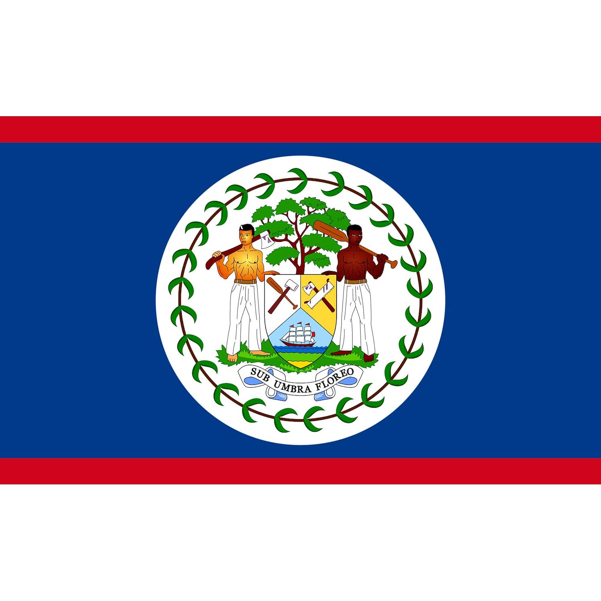 CafePress Belize Country Flag Rectangle Magnet, 3"x2" Refrigerator Magnet