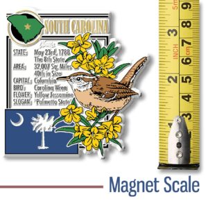 South Carolina State Montage Magnet by Classic Magnets, 2.8" x 3.3", Collectible Souvenirs Made in The USA