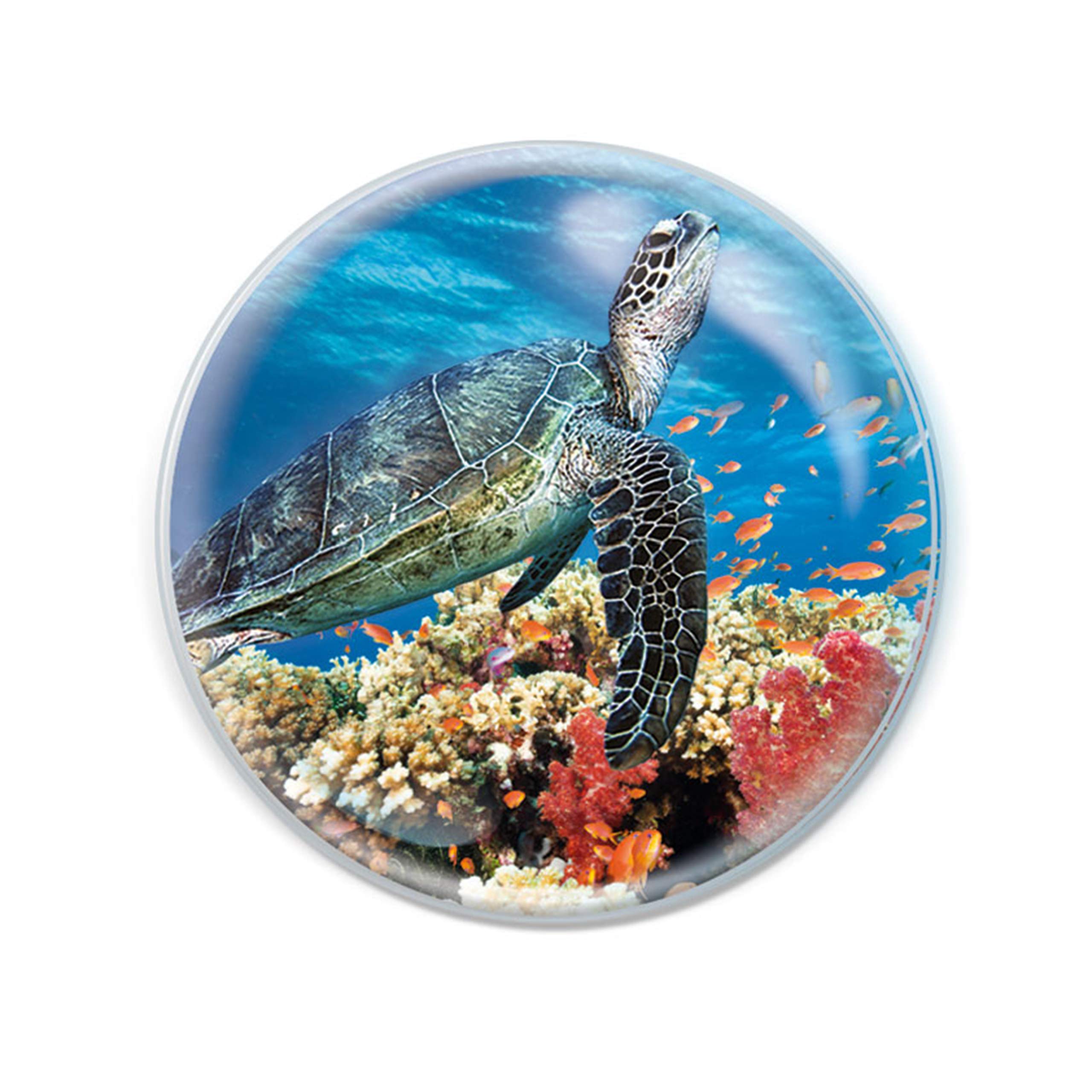 Magnidome - Sea Turtle Magnet from Deluxbase. Crystal Glass Fridge Magnet. Cute Round and Strong Magnets for Refrigerator Magnets, Home Decor and Animal Magnets for Locker Decorations for Kids