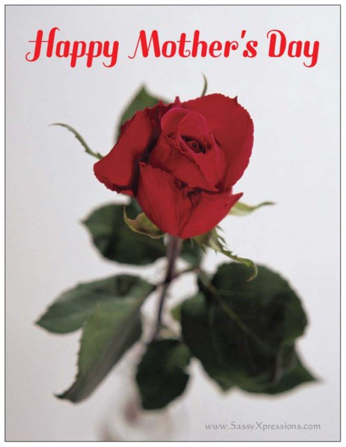 Happy Mothers Day Rose Refrigerator Magnet