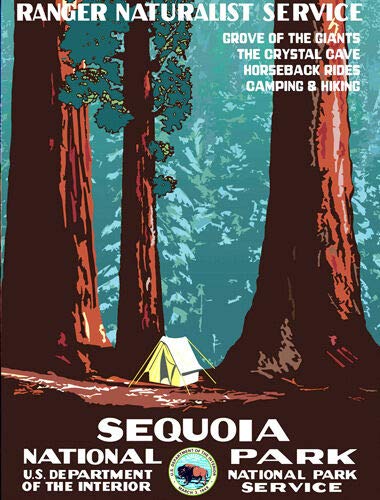 Magnet 3x4 inch Sequoia Art Poster Bumper Sticker - California rv National Park Hike ca Magnetic Magnet Vinyl Sticker