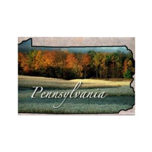 cafepress pennsylvania magnets rectangle magnet, 3"x2" refrigerator magnet