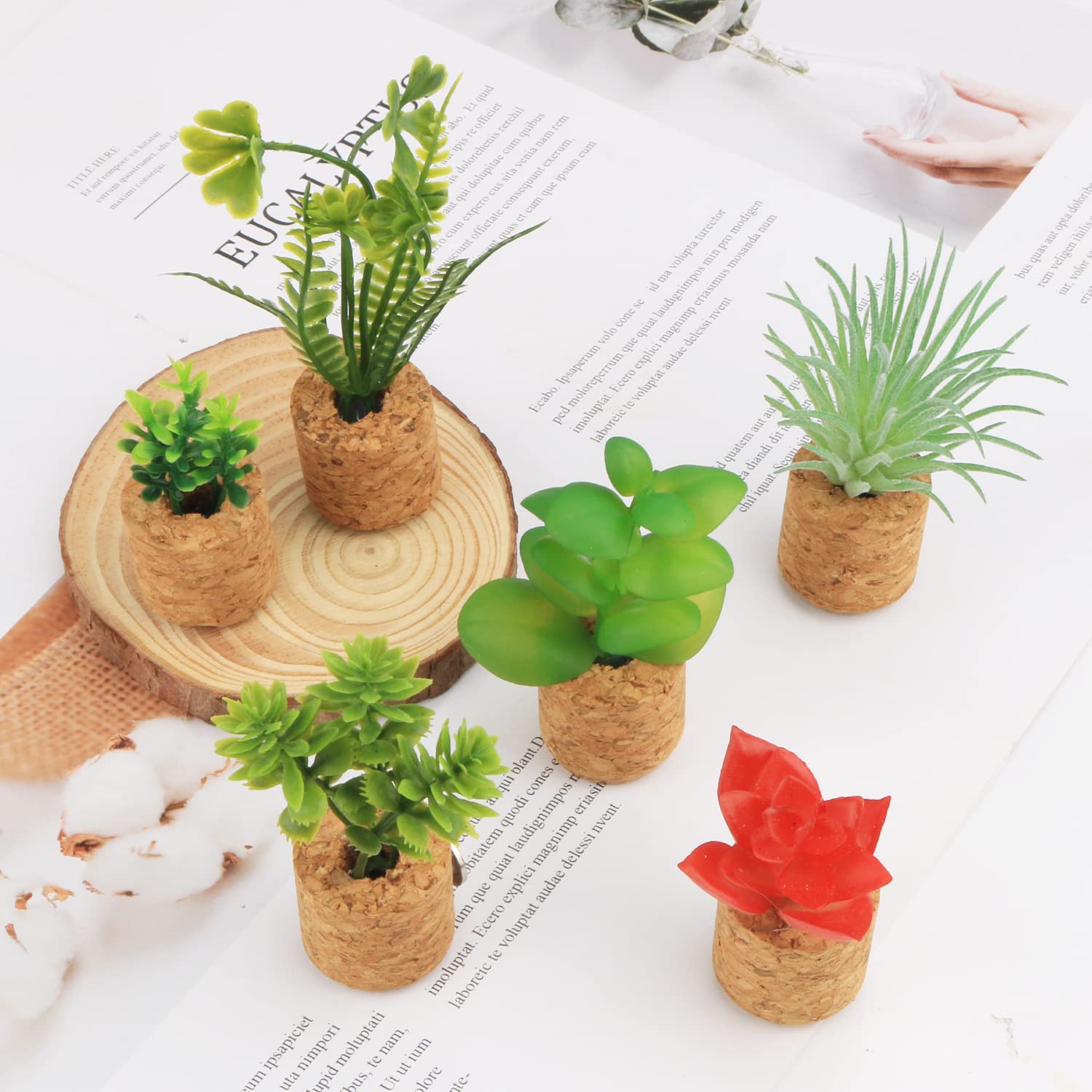 Wresty Cactus Refrigerator Magnets Mini Cute Succulent Plant Fridge Magnet Button Decoration Accessories for Home Kitchen Office (6 pcs)