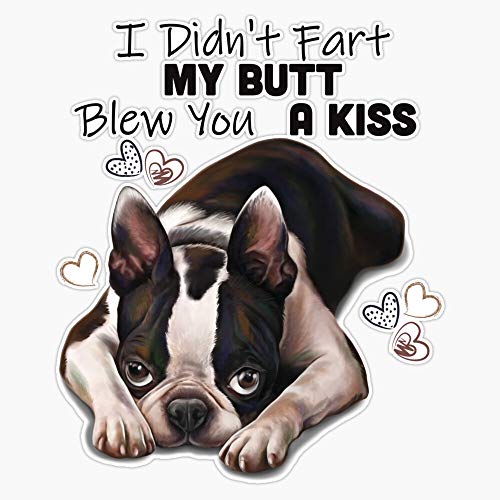 Boston Terrier Gifts, Boston Terrier, Boston Terrier Puppy, Boston Terrier Dog Breed Art Sticker Vinyl Waterproof Sticker Decal Car Laptop Wall Window Bumper Sticker 5"