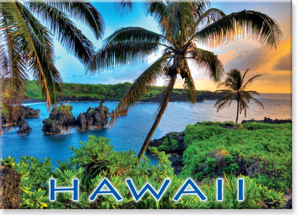 Hawaiian Art Collectible Refrigerator Magnet - Where da Coconuts Grow