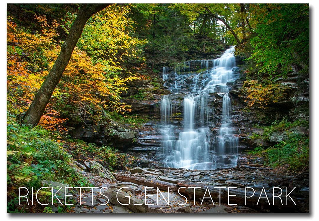 Ricketts Glen State Park, Pennsylvania Fridge Magnet Size 2.5" x 3.5"