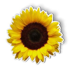 ak wall art sunflower - magnet - car fridge locker - select size