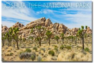 joshua tree national park blue sky & rocks refrigerator magnet size 2.5" x 3.5"