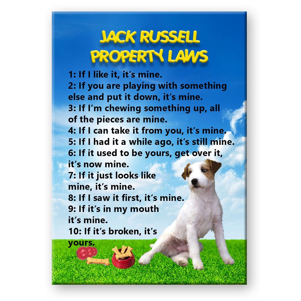 Jack Russell Terrier Property Laws Fridge Magnet