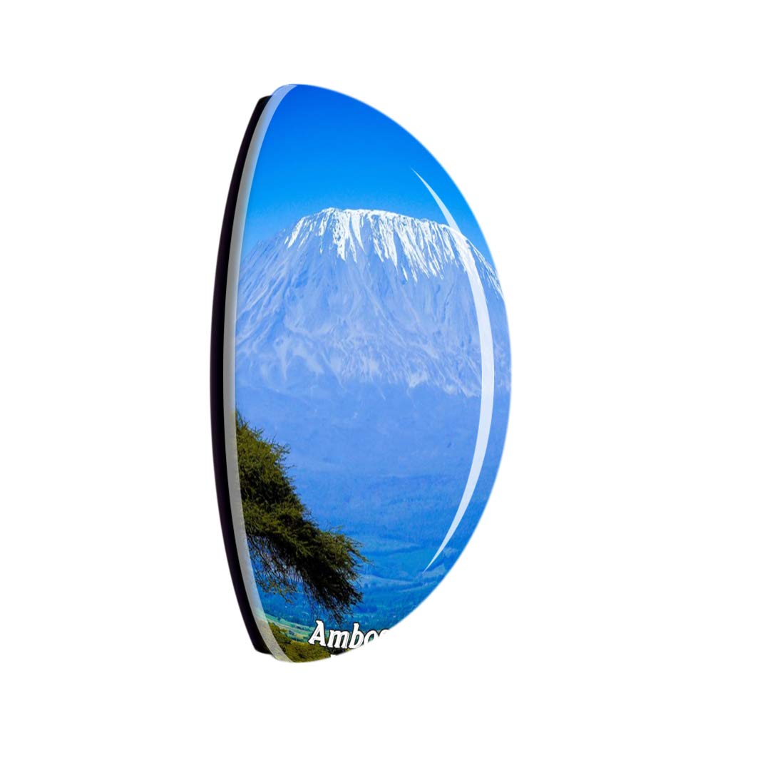 Kilimanjaro Amboseli Kenya Fridge Magnet 3D Crystal Glass Tourist City Travel Souvenir Collection Gift Strong Refrigerator Sticker