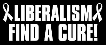 GHaynes Distributing Magnet Liberalism Find a Cure Magnetic Magnet(Anti libtard pro Trump Conservative) 3 x 7 inch