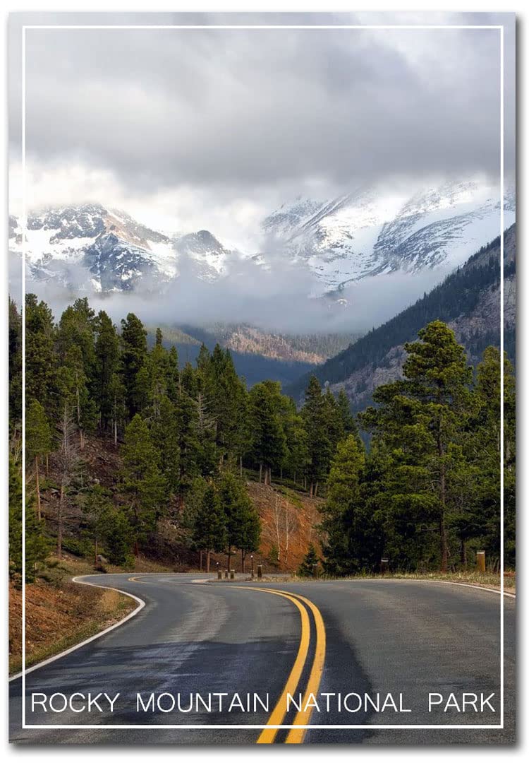 Trail Ridge Road Rocky Mountain National Park Fridge Magnet Size 2.5" x 3.5"