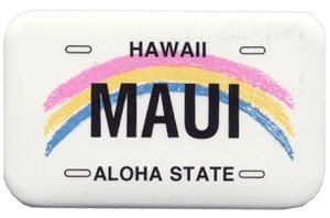 gift house metal magnet maui