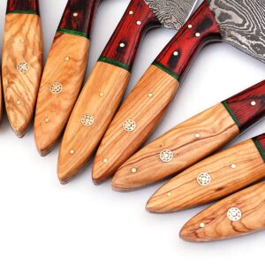 Best knife Handmade Professional Kitchen Damascus Knife Set, 8pcs Best Damascus Steel Chef Kitchen Knif set With Storage Roll Case Bag, High Carbon Japanese style BBQ Butcher Knives Set