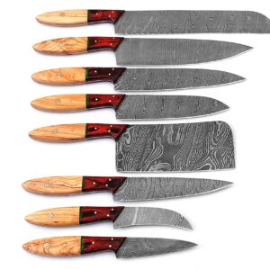 Best knife Handmade Professional Kitchen Damascus Knife Set, 8pcs Best Damascus Steel Chef Kitchen Knif set With Storage Roll Case Bag, High Carbon Japanese style BBQ Butcher Knives Set