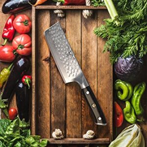 Dalstrong Nakiri Vegetable Knife - 6 inch - Shogun Series Elite - Japanese AUS-10V Super Steel - Black G10 Handle - Damascus - Hammered Finish - Vegetable Kitchen Knife - Sheath Included