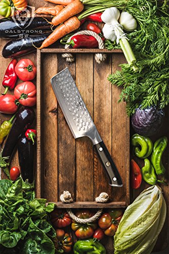 Dalstrong Nakiri Vegetable Knife - 6 inch - Shogun Series Elite - Japanese AUS-10V Super Steel - Black G10 Handle - Damascus - Hammered Finish - Vegetable Kitchen Knife - Sheath Included