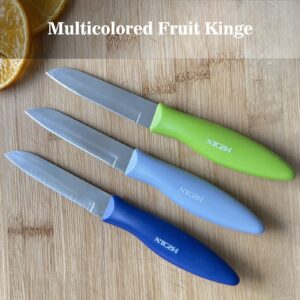 NTCZH Classic Paring Knives with Straight Edge, Spear Point Color Paring Knife Set of 6, Fruit and Vegetable Knife, Ultra Sharp Kitchen Knives, German Steel, PP Plastic Handle, red/Green/Blue