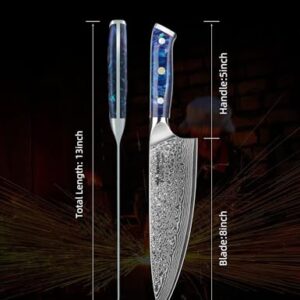 SANMUZUO Chef Knife - 8 inch - Xuan Series - VG10 Damascus Steel Kitchen Knife - Resin Handle (Sapphire Blue)