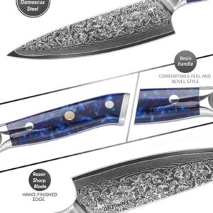 SANMUZUO Chef Knife - 8 inch - Xuan Series - VG10 Damascus Steel Kitchen Knife - Resin Handle (Sapphire Blue)