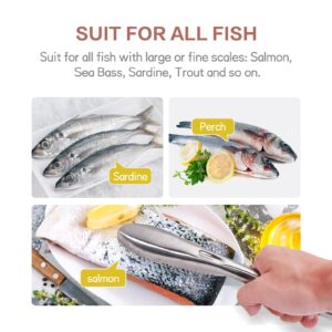 2 Pieces Fish Scaler Stainless Steel Fish Scaler Remover, Easily Remove Fish Scales Cleaning BrushTool Fish Scraper for Kitchen Fish Cleaning Tools