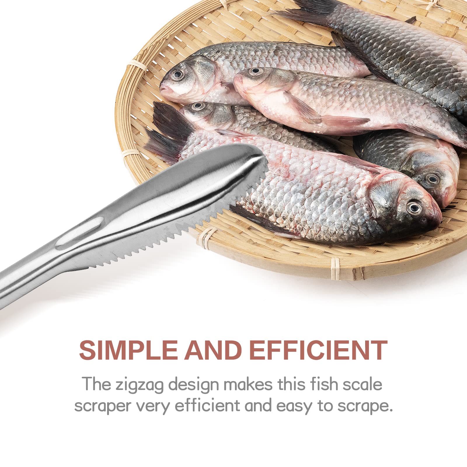 2 Pieces Fish Scaler Stainless Steel Fish Scaler Remover, Easily Remove Fish Scales Cleaning BrushTool Fish Scraper for Kitchen Fish Cleaning Tools