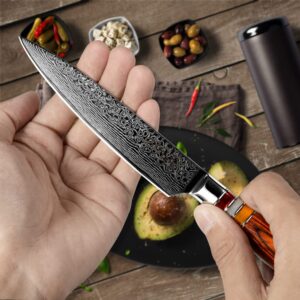 FANTECK Utility Knife 6 Inch, Japanese Damascus Kitchen Petty Knife, VG10 67 Layer Pro Razor Sharp Cutting Fruit Carving Chef’s Paring Knives with Sheath& Gift box, Ergonomic Pakkawood Handle