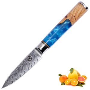 fukep paring knife 3.5 inch damascus paring knife small fruit knife ultra sharp damascus vg10 core steel with 66 layers high carbon steel classical pattern blue handle