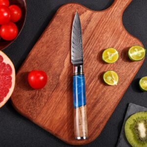 Fukep Paring Knife 3.5 Inch Damascus Paring Knife Small Fruit Knife Ultra Sharp Damascus VG10 Core Steel with 66 Layers High Carbon Steel Classical Pattern Blue Handle