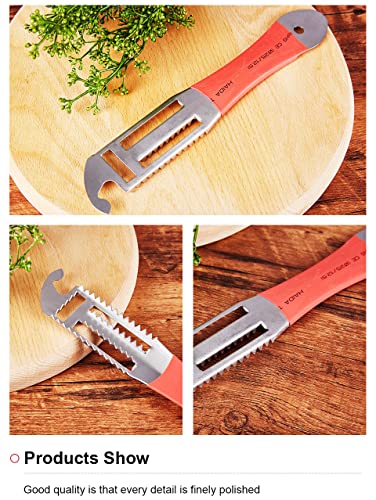 Fish Scaler Remover, Fish Scraper Fast Cleaning Fish Skin, Fish Scale Remover with Stainless Steel Sawtooth Easily Remove Fish Scales-Cleaning Brush Kitchen Descaler Tool