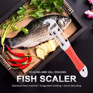 Fish Scaler Remover, Fish Scraper Fast Cleaning Fish Skin, Fish Scale Remover with Stainless Steel Sawtooth Easily Remove Fish Scales-Cleaning Brush Kitchen Descaler Tool