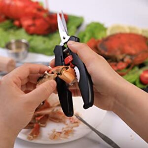 Criativo live Seafood Scissors, Lobster Scissors, Crab Scissors, Seafood Tools 4Pcs and Lobster Forks 4 Pcs