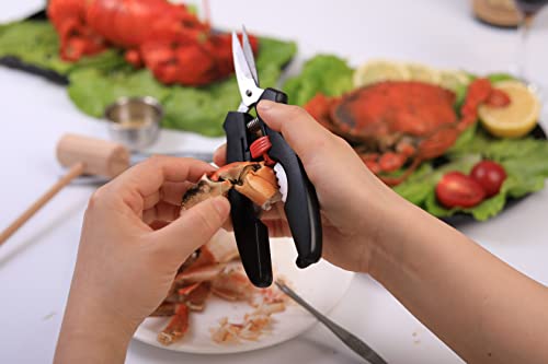 Criativo live Seafood Scissors, Lobster Scissors, Crab Scissors, Seafood Tools 4Pcs and Lobster Forks 4 Pcs