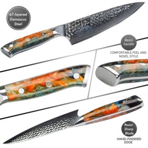 SANMUZUO 8" Chef Knife - Professional Kitchen Knife - Hammered Damascus Steel & Resin Handle - YAO Series