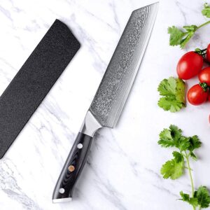 Damascus Chef Knife 8 Inch, Razor Sharp Kitchen Knife Japanese VG-10 Stainless Steel with Premium G10 Handle&Triple Rivet&Gift Box（8 Inches）