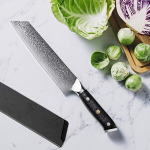 Damascus Chef Knife 8 Inch, Razor Sharp Kitchen Knife Japanese VG-10 Stainless Steel with Premium G10 Handle&Triple Rivet&Gift Box（8 Inches）