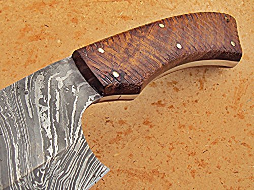 CP-285, Damascus Steel 12.00 Inches Cleaver style Knife – Solid Rose Wood Handle (Damascus Steel 1)