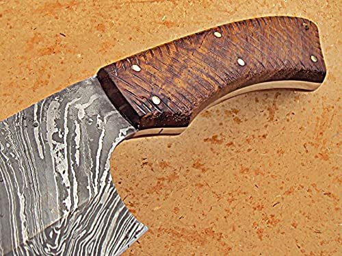 CP-285, Damascus Steel 12.00 Inches Cleaver style Knife – Solid Rose Wood Handle (Damascus Steel 1)